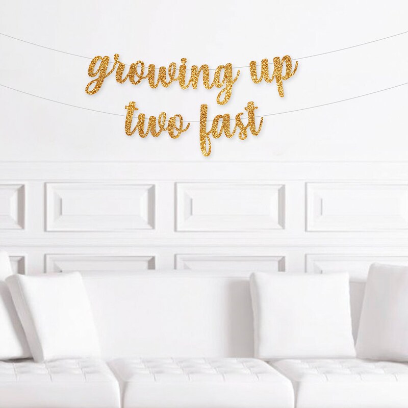 Two Fast Birthday Shirt - Etsy