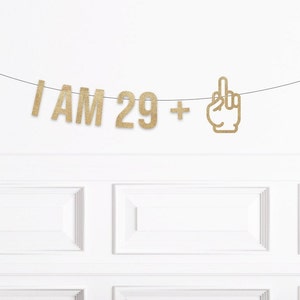 I Am 29 Plus Middle Finger Birthday Banner, Funny Middle Finger 30th ...