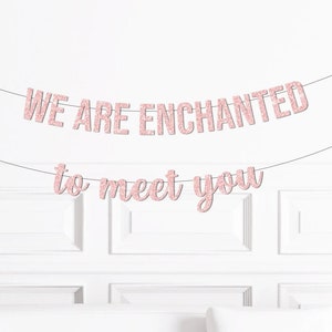 We Are Enchanted to Meet You Cake Topper, Baby Shower Decorations ...