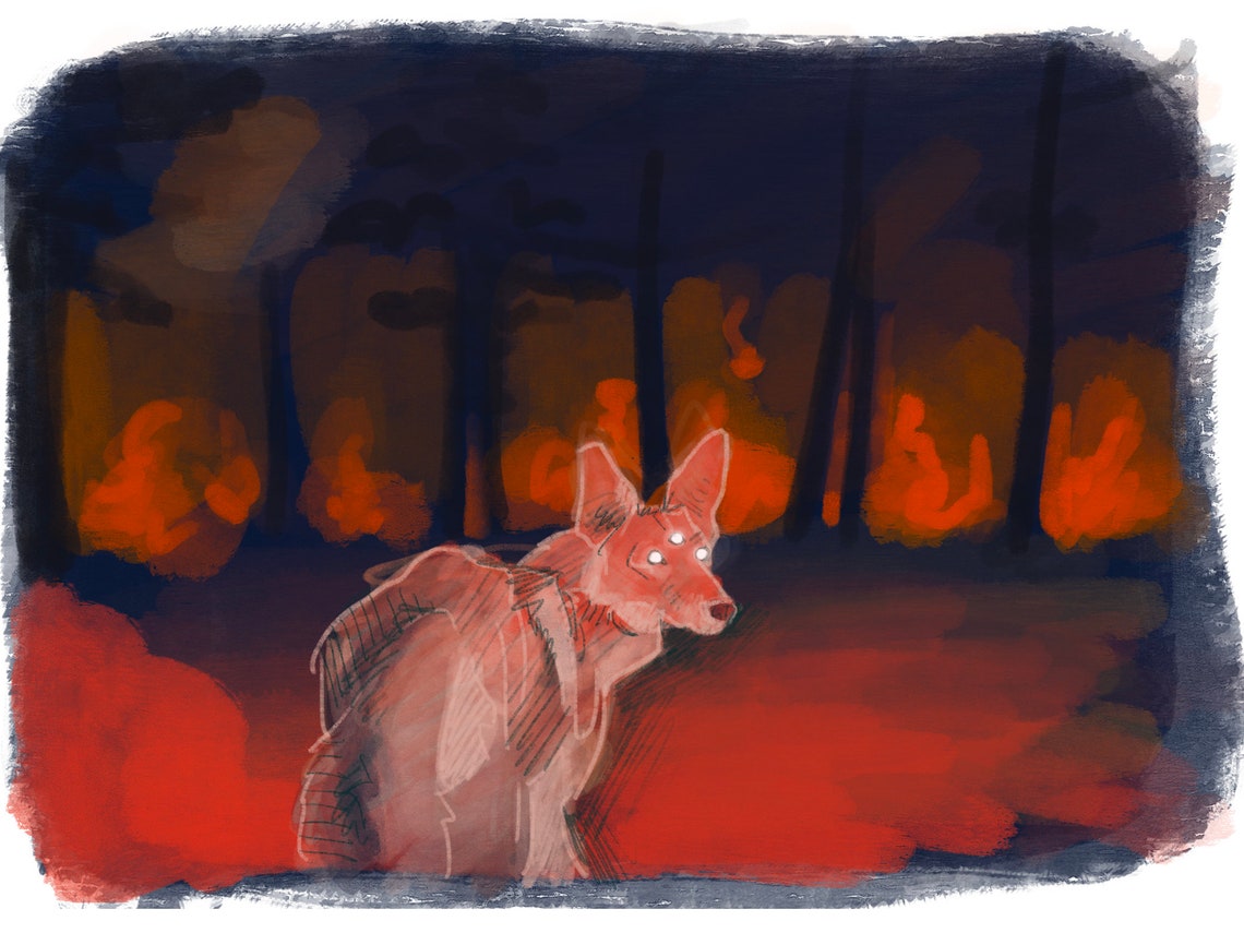 Sight: Limited Edition Print Fine Art Contemporary Artwork - Etsy