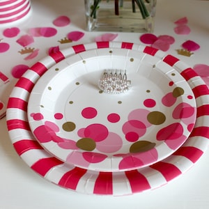 Bright Pink Dinner Plates / Pink Paper Plates / Bright Pink Striped ...