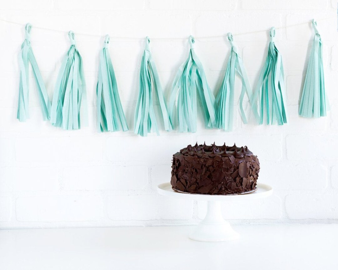 Light Blue Tassel Banner / Tassel Banner / Tissue Banner / Party Decor ...