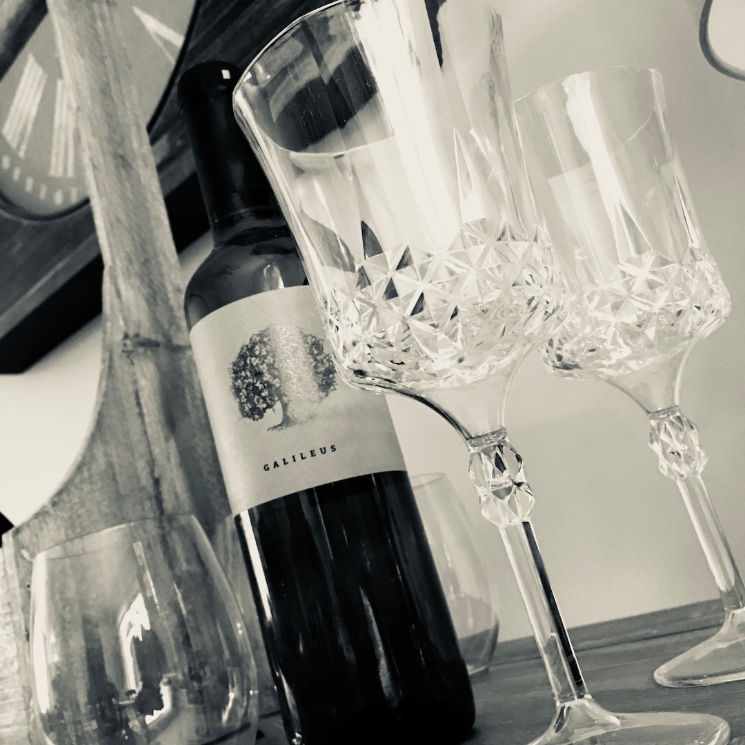 Disposable Stemware. Elegant Plastic Wine Glasses. Disposable Goblets ...