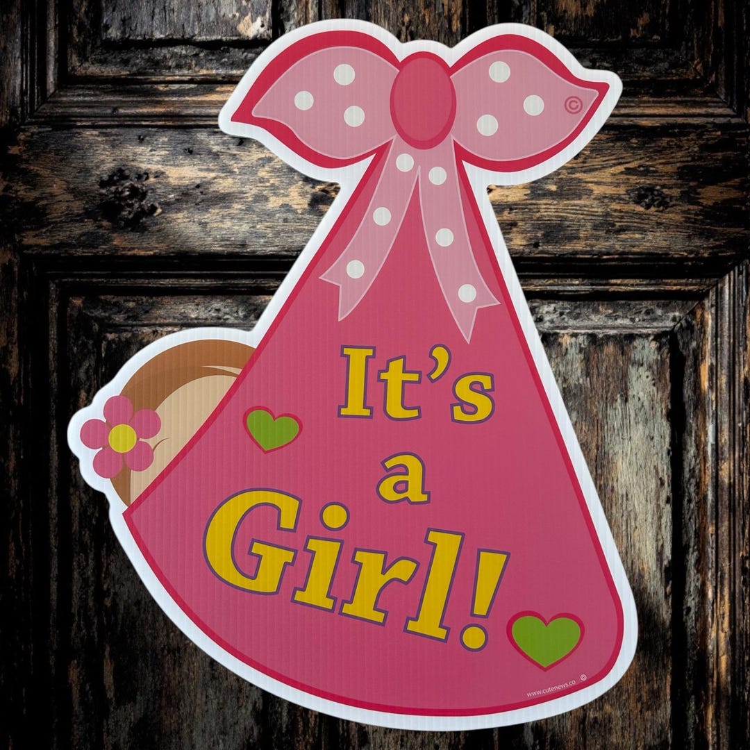 It's a Girl or Boy Stork Sign: Baby Announcement Door Hanger - Outdoor ...
