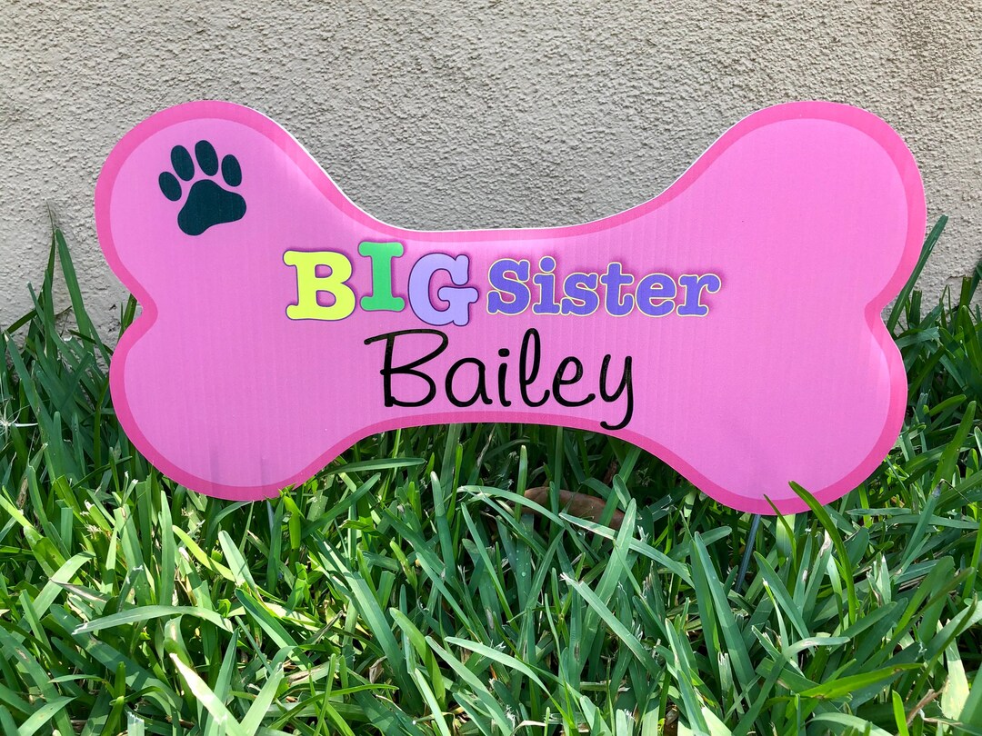 Proud Big Sister Sign Big Brother Sign New Baby Announcement Child Star ...