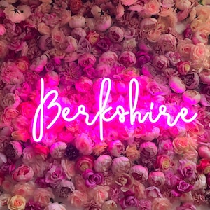 All You Need is Love, Custom Pink Neon for Home Decor Above Sofa, Hot ...