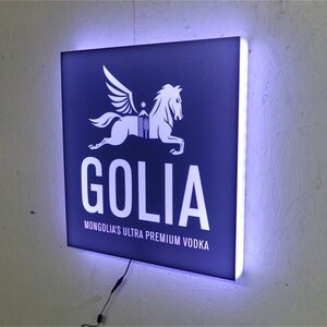 Faux Neon Sign,face Lit Acrylic Channel Letters Colors PVD Stainless ...