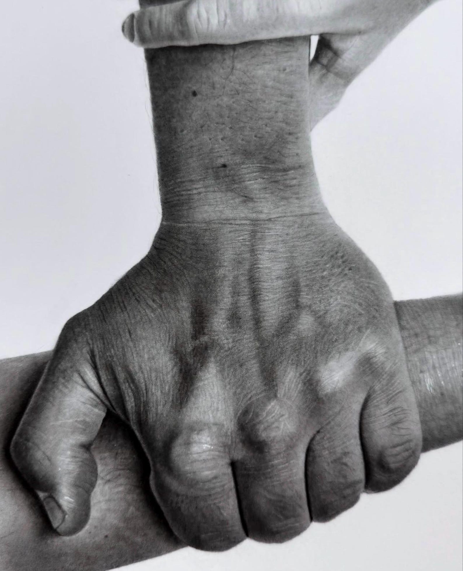 Custom Hands Portrait Drawing • Hyperrealistic Graphite Art • Family ...