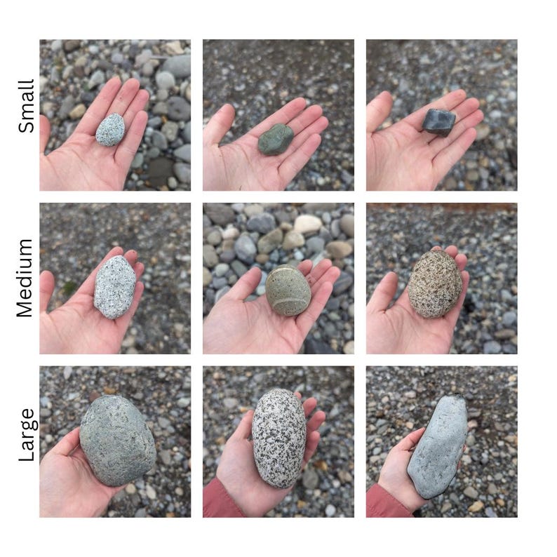 10lbs Assorted Bulk PNW River Rocks - Gardening, Landscaping, Decor - Etsy