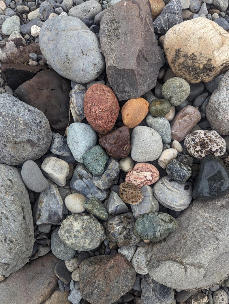 10lbs Assorted Bulk PNW River Rocks - Gardening, Landscaping, Decor - Etsy