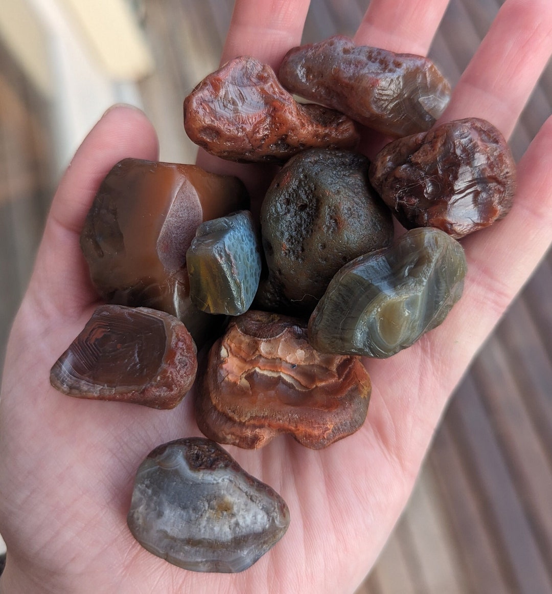7oz Assorted Lake Superior Agates Tumbling Display - Etsy