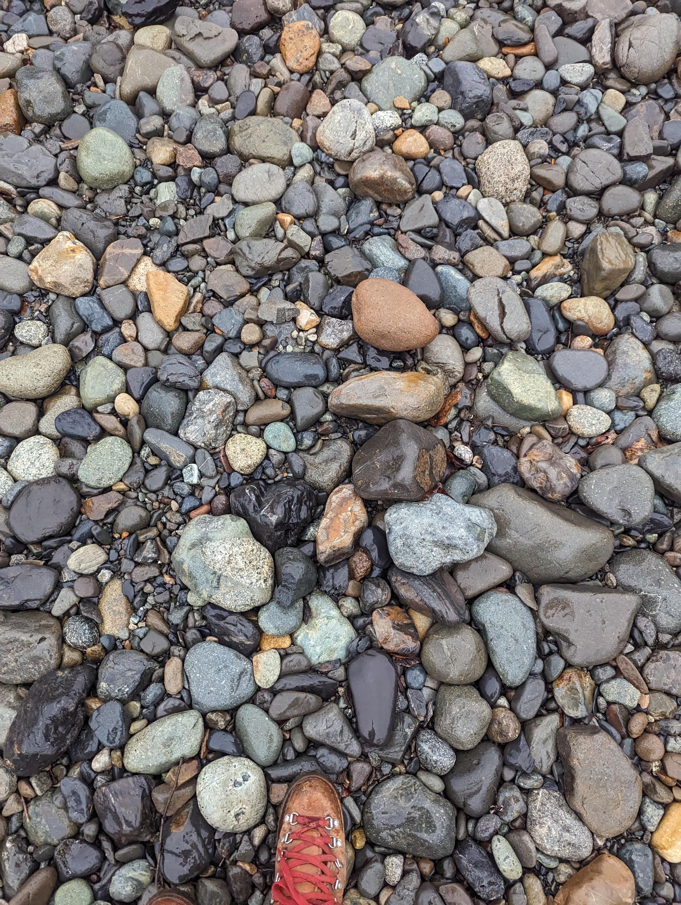 10lbs Assorted Bulk PNW River Rocks - Gardening, Landscaping, Decor - Etsy