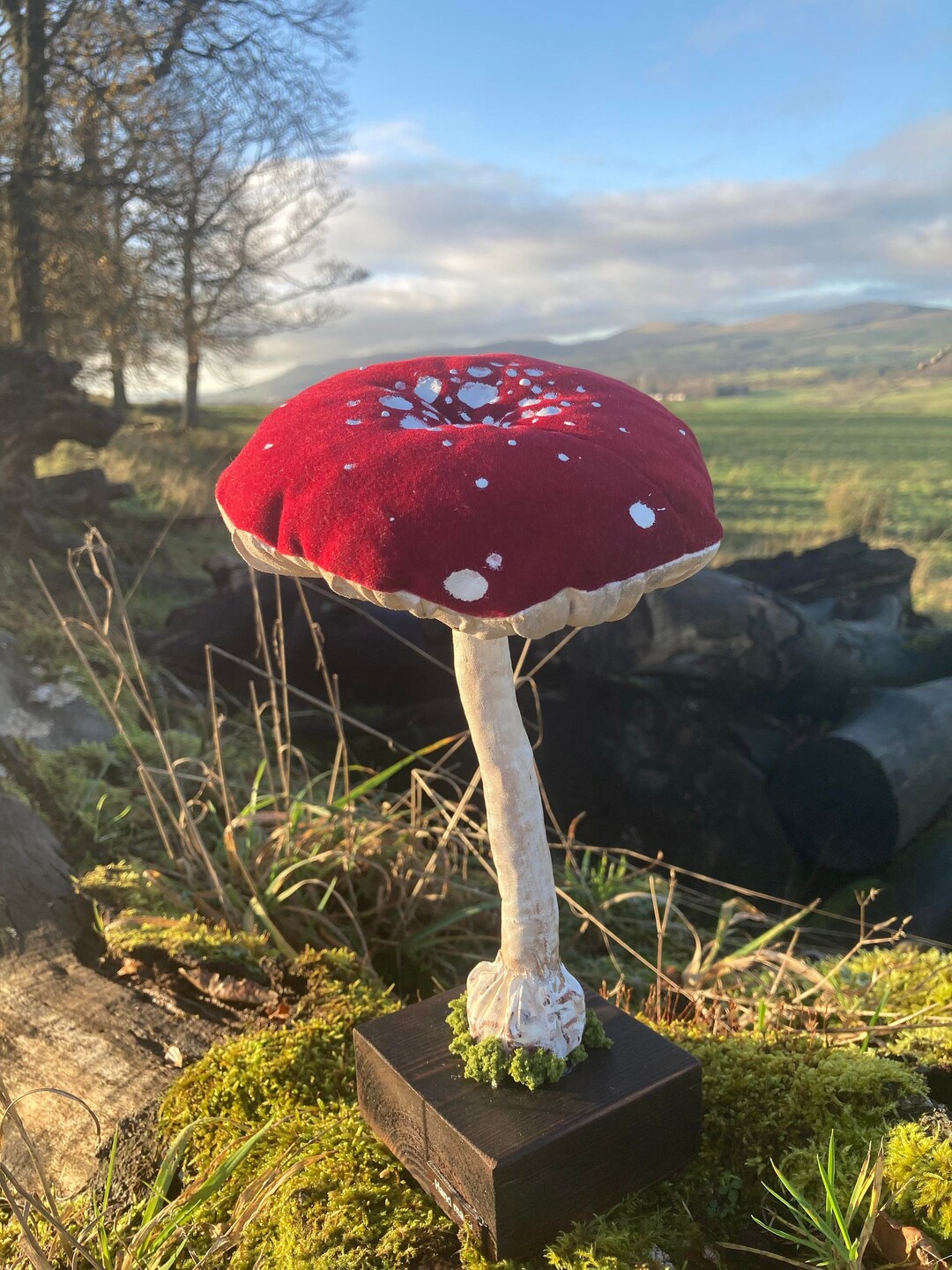 Velvet Amanita Muscaria Soft Carving Sewntoadstool - Etsy