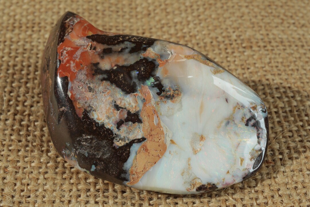 Tactile Polished Boulder Opal Mineral Specimen for Rock Collector Free ...