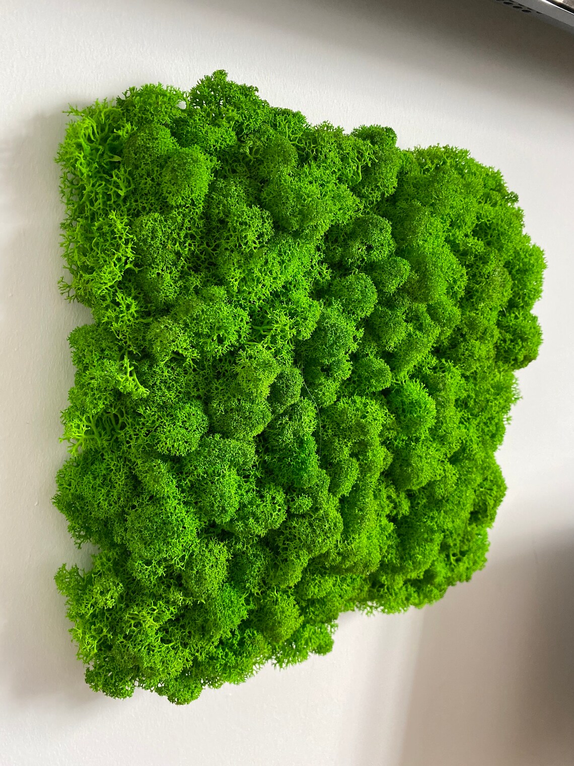 Décor vert vif 3D Moss Wall Art Toile Décor de chambre | Etsy