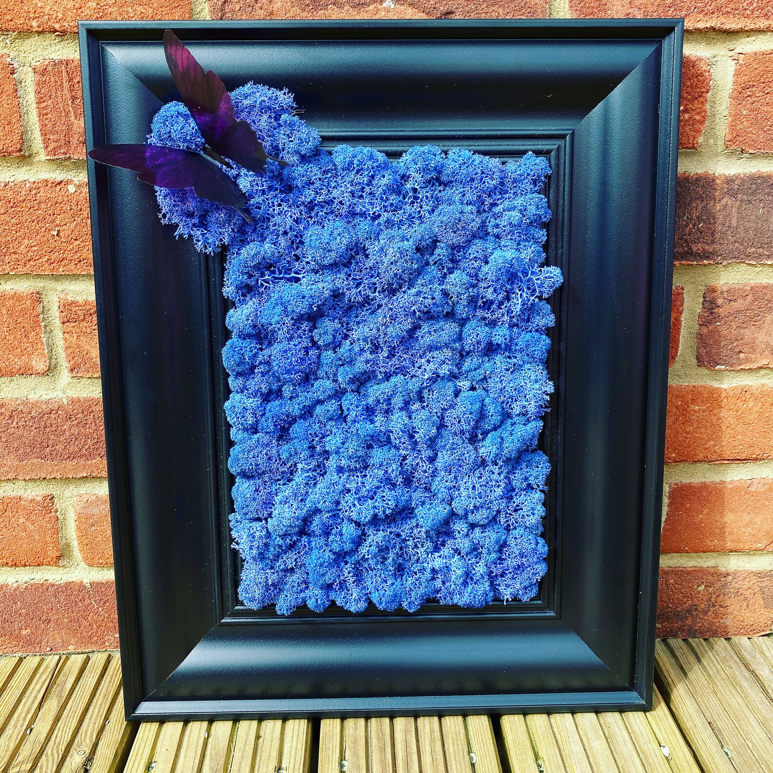 Blue Moss Wall Art Moss Wall Decor Living Wall Art Home Etsy blue-moss-wall-art-moss-wall-decor-living-wall-art-home-etsy