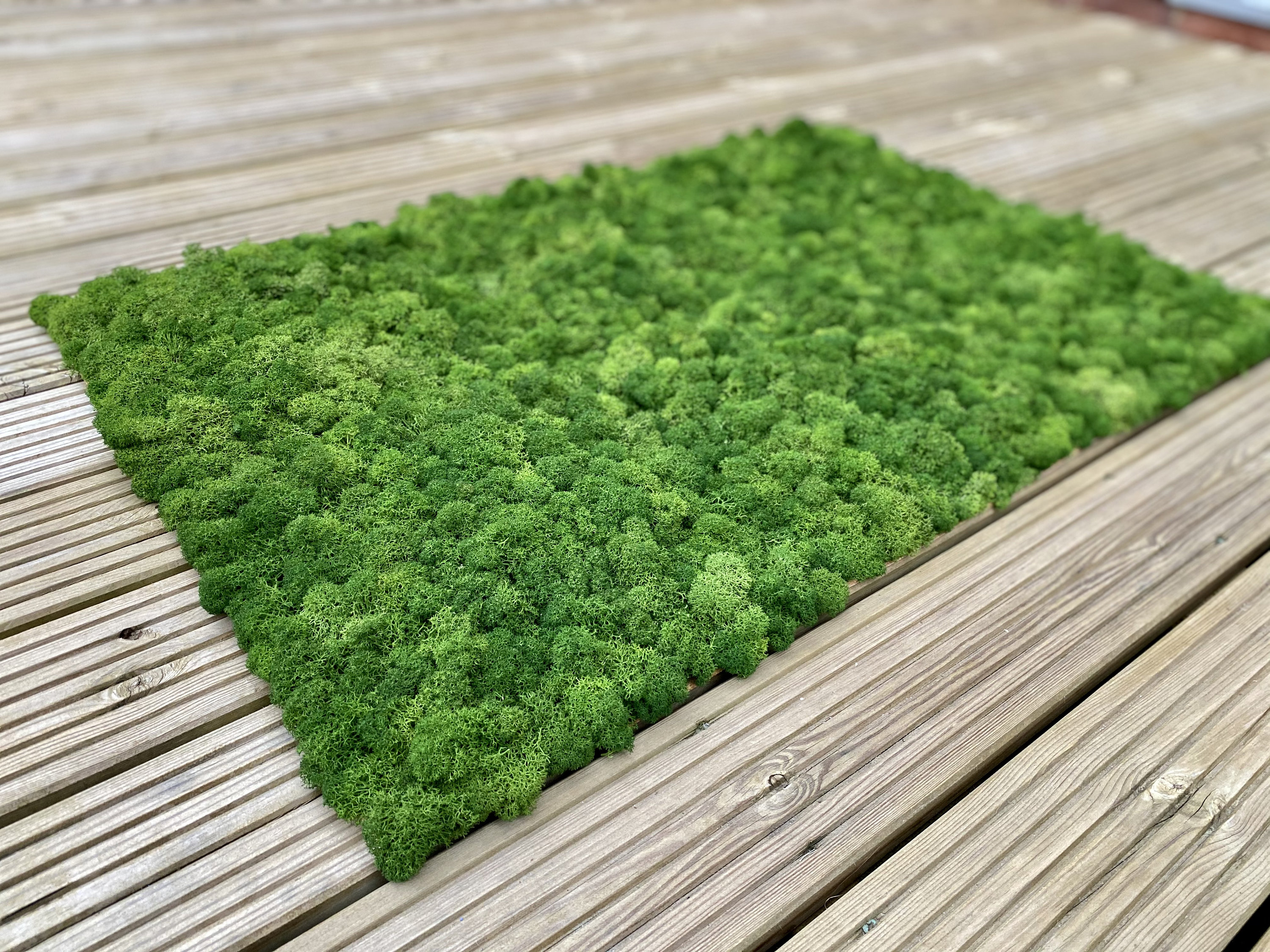 Paneles cuadrados de musgo / Azulejos de musgo / Living Wall / - Etsy ...