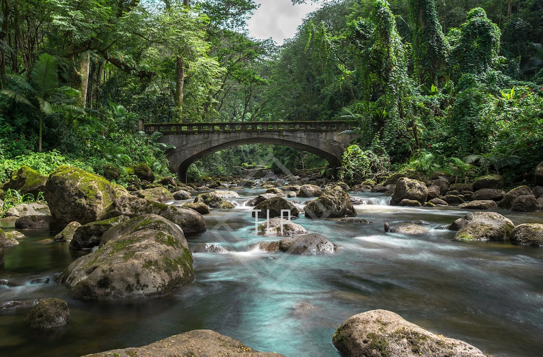 Kolekole Beach Park Bridge River Photography Hawaii - Etsy