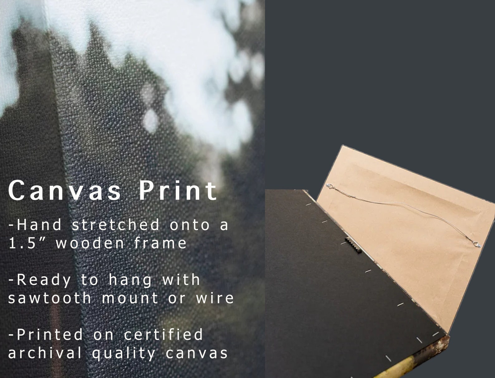 Milky Way Andromeda Jupiter, Meteor, Astrophotographers Long Exposure ...