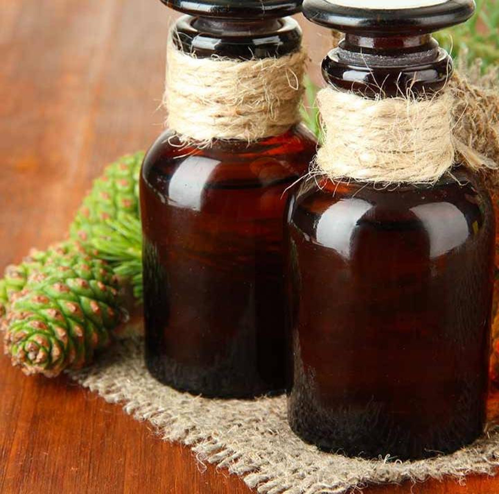 Expeditious Hair Growth Elixir | Etsy