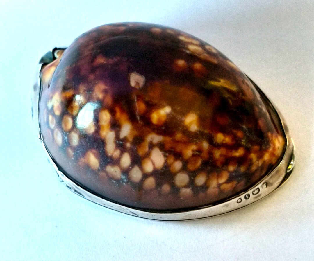 Antique London Silver Cowrie Shell Snuff Box William and James Priest ...