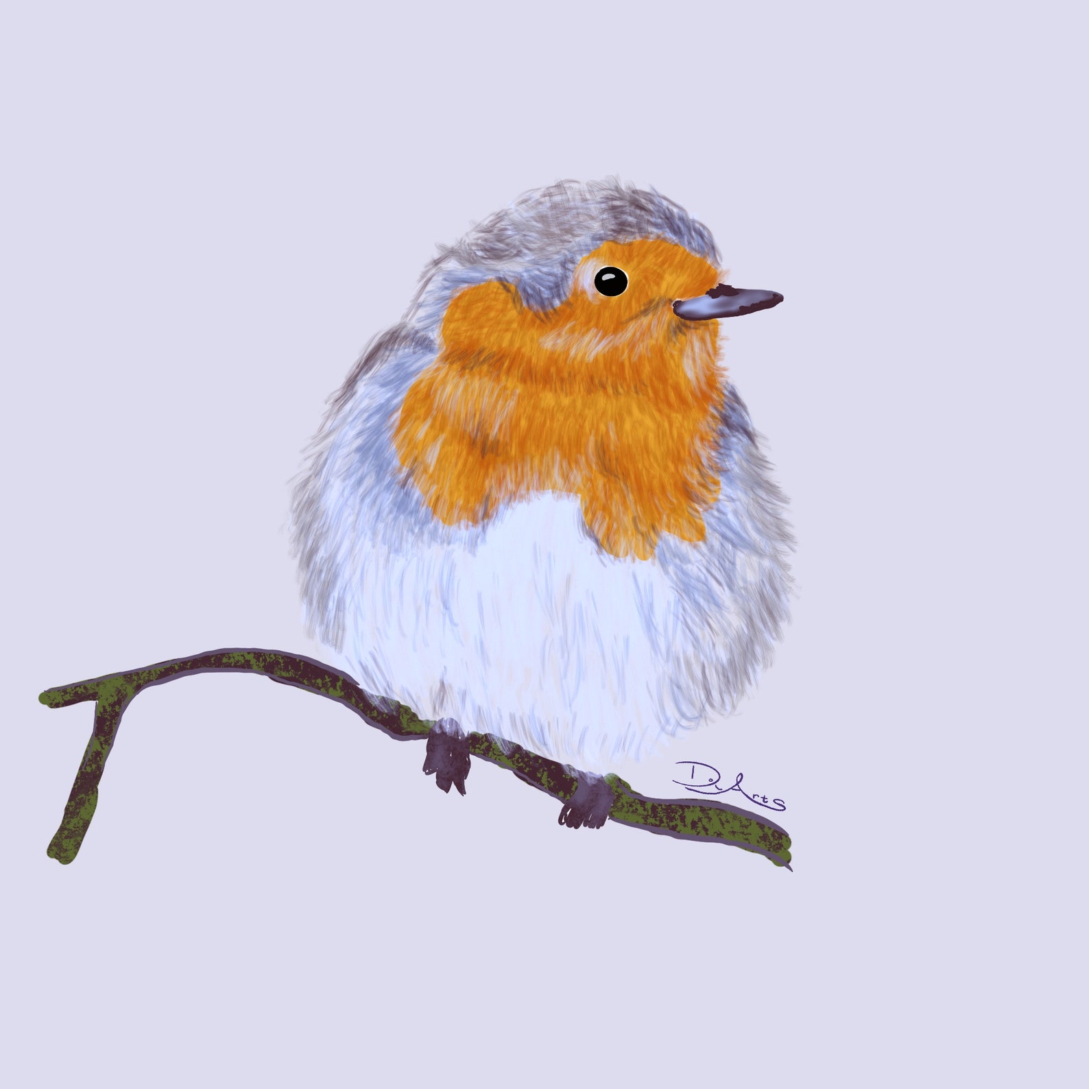 Christmas Robin Art Print Download | Etsy