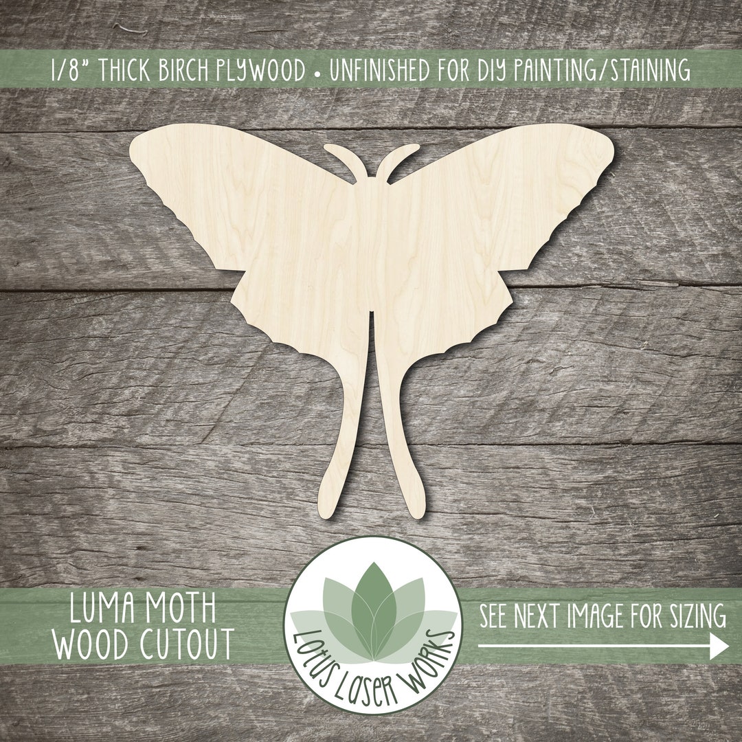 Luna Moth Shape: Insect Cutouts for Craft Projects, Painting Blanks - Etsy
