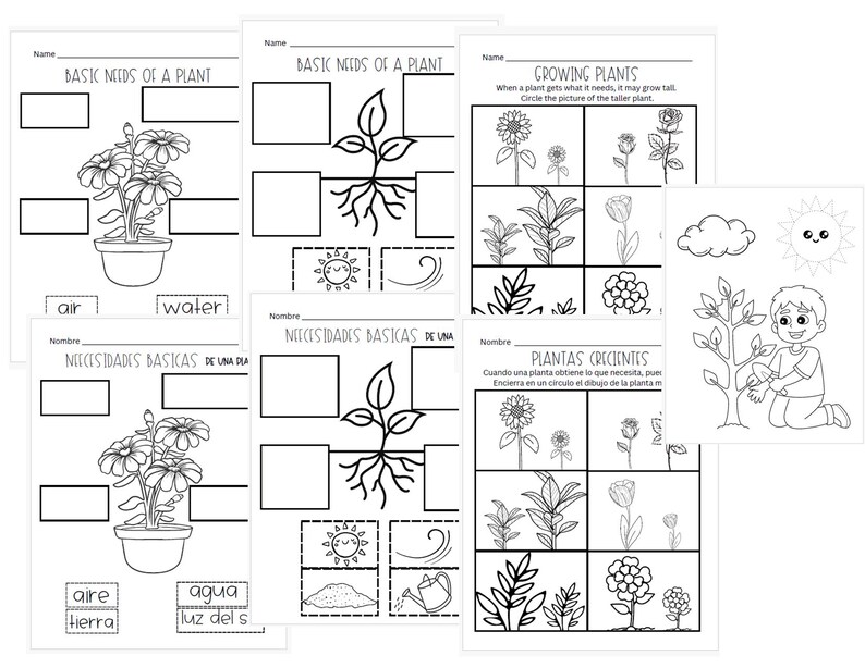 What Do Plants Need? /¿que Necesitan Las Plantas? English and Spanish ...
