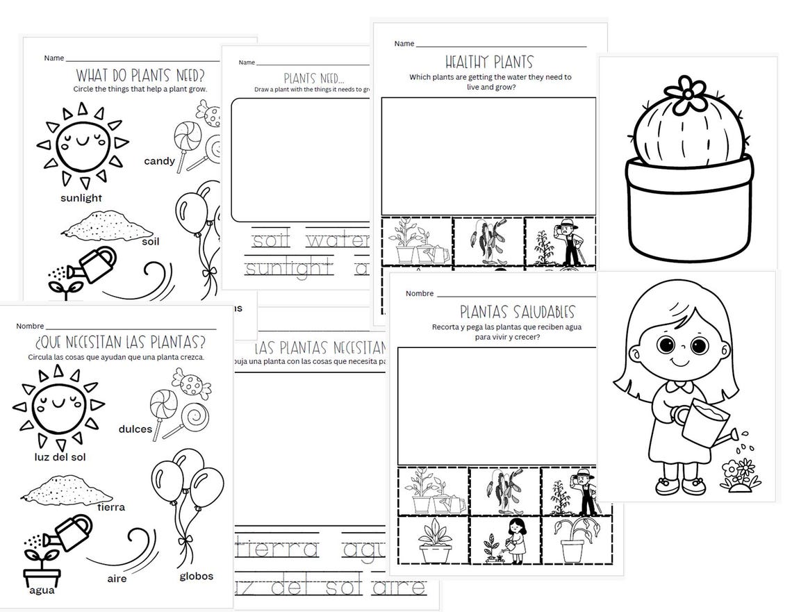 What Do Plants Need? /¿que Necesitan Las Plantas? English and Spanish ...