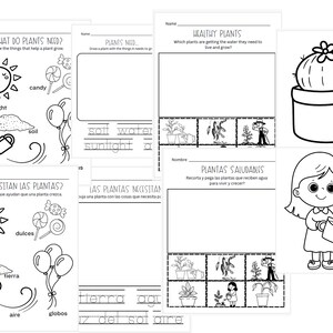 What Do Plants Need? /¿que Necesitan Las Plantas? English and Spanish ...