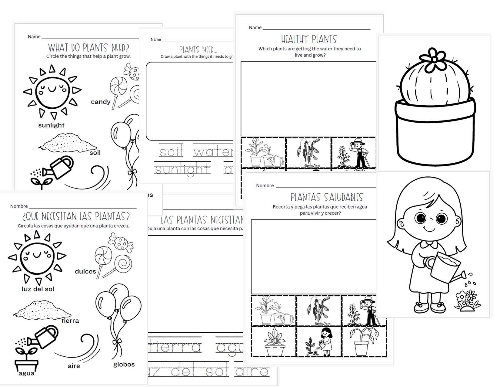 What Do Plants Need? /¿que Necesitan Las Plantas? English and Spanish ...