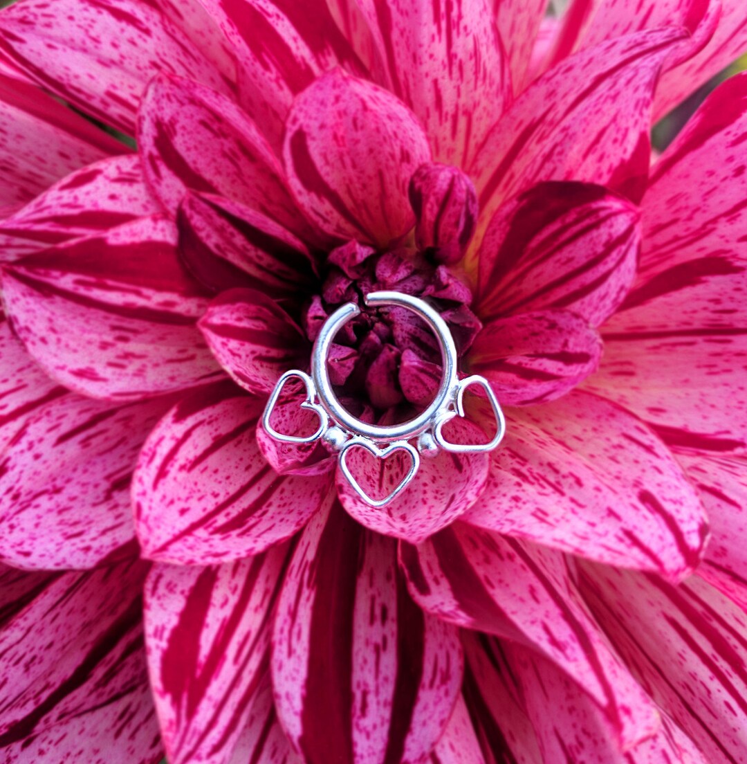 Heart Septum Ring: Sterling Silver Tribal Nose Hoop (18g) - Etsy