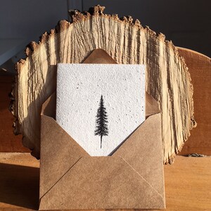 Pine Tree Card With Plantable Wildflower Seed Paper - Etsy