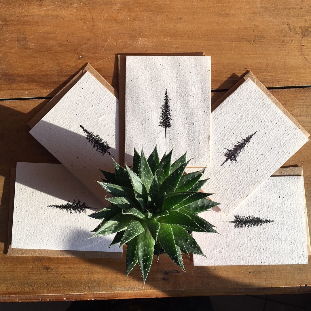5x Pack Pine Tree Card Plantable Wildflower Seed Paper Hand Drawn, Pen ...