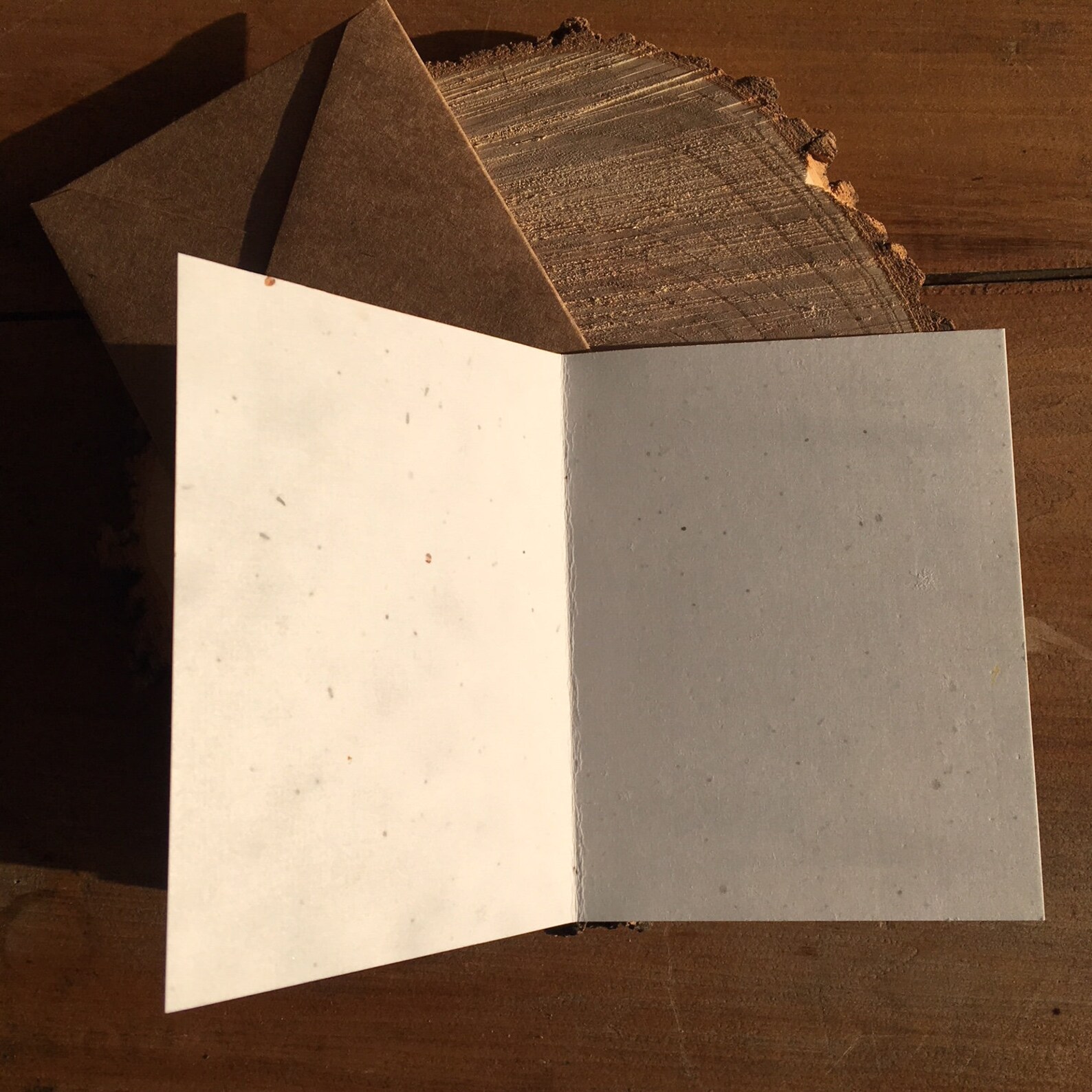 Pine Tree Card With Plantable Wildflower Seed Paper - Etsy