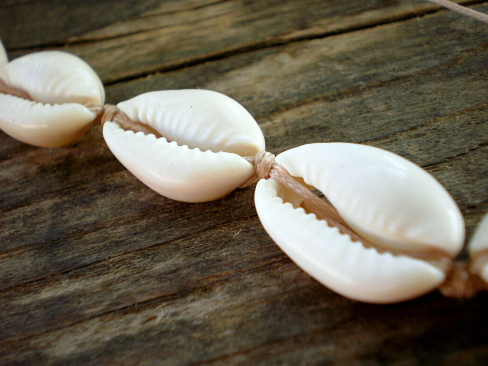 Shell Necklace Cowrie Shell Choker Seashell Beach Jewelry - Etsy