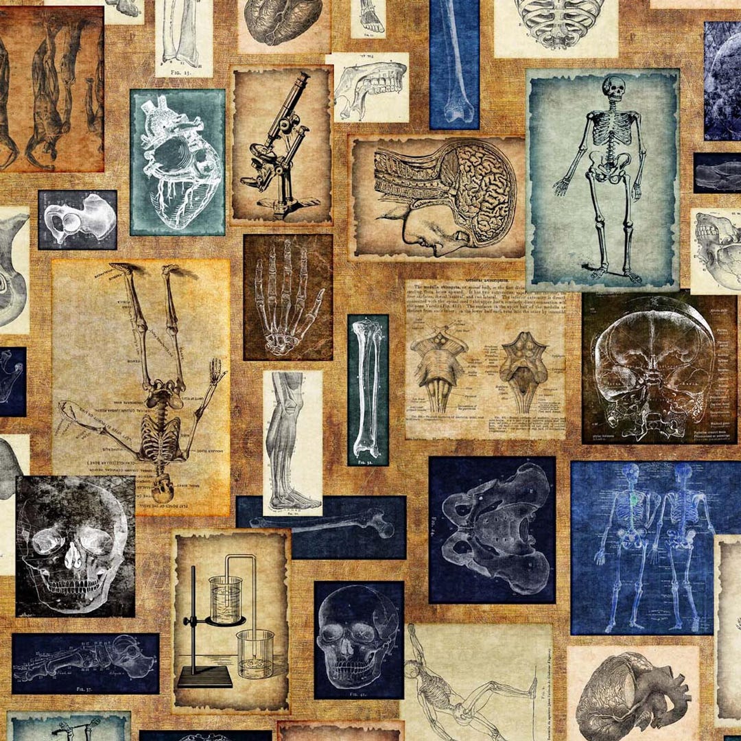 True Detective- Copper Anatomy Patches: Sold by the 1/2 Yard. - Etsy UK