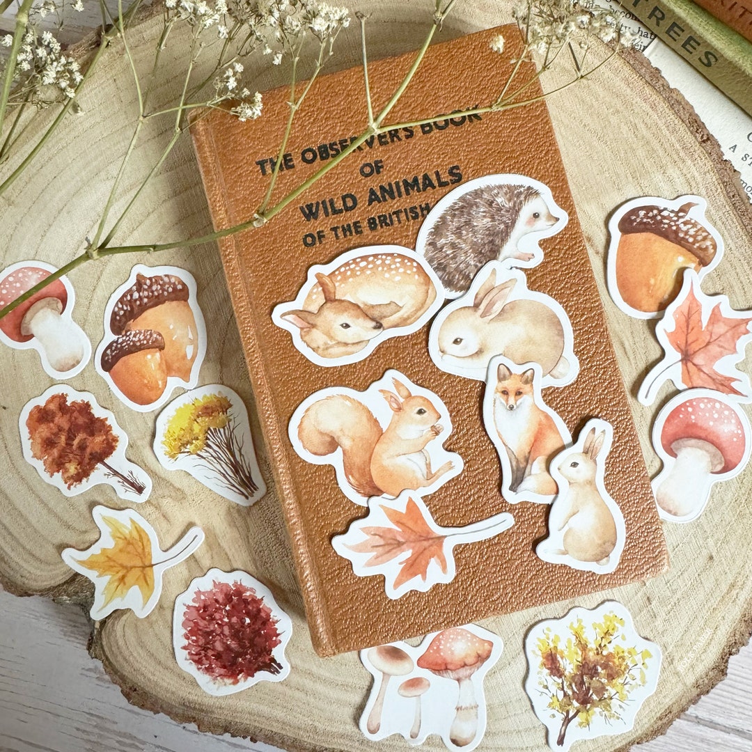 Woodland Animal Stickers Pack, 45 Pcs Forest Bear Deer Hedgehog ...