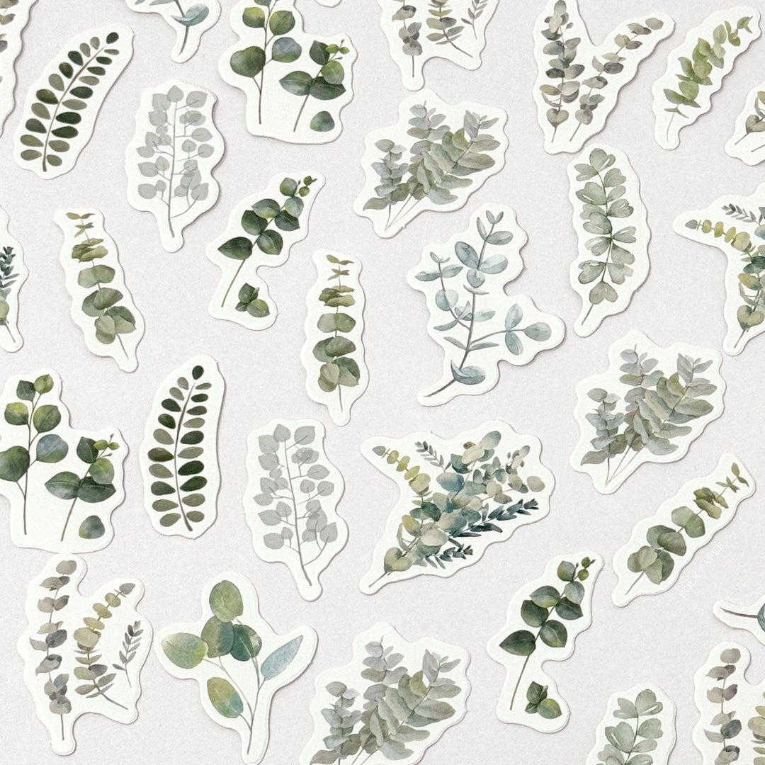 Eucalyptus Leaf Stickers Pack, 45 Pcs Watercolour Plant Stickers ...
