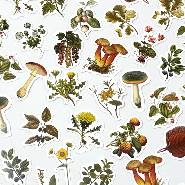 Nature Stickers - Etsy