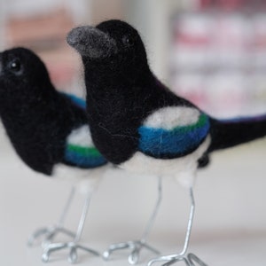 Made to Order! Tortle Art Birds! Needle Felted Little Cute Friends ...