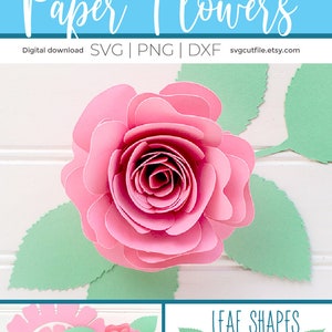 Rolled Rose Svg, Rolled Flower Svg, Rolled Paper Flowers Svg, Template ...