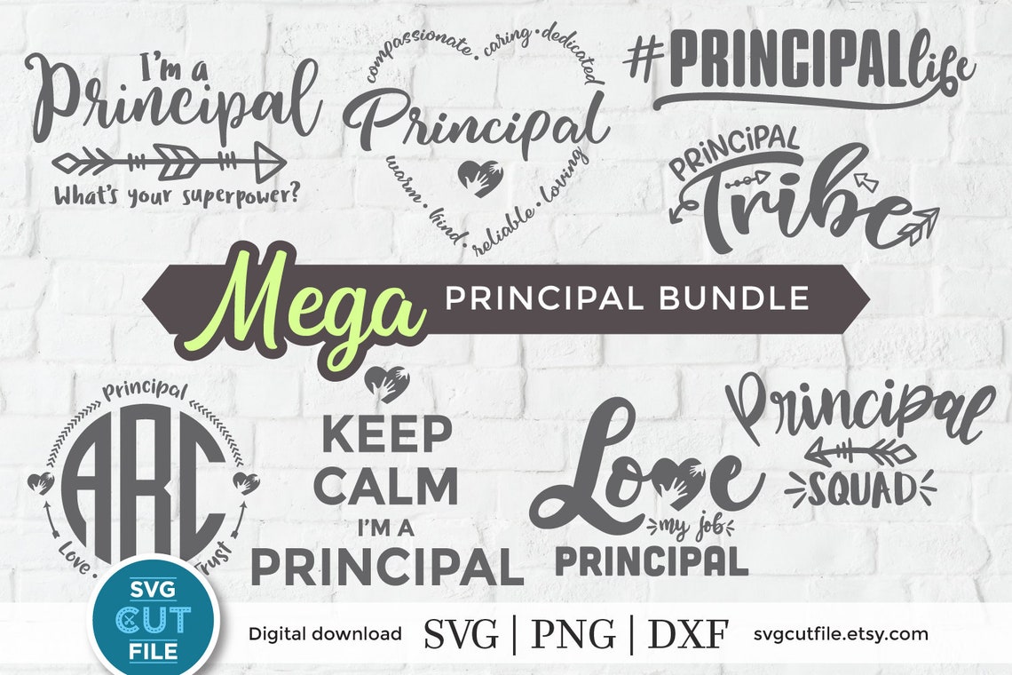 Principal svg Elementary school svg principal bundle svg | Etsy