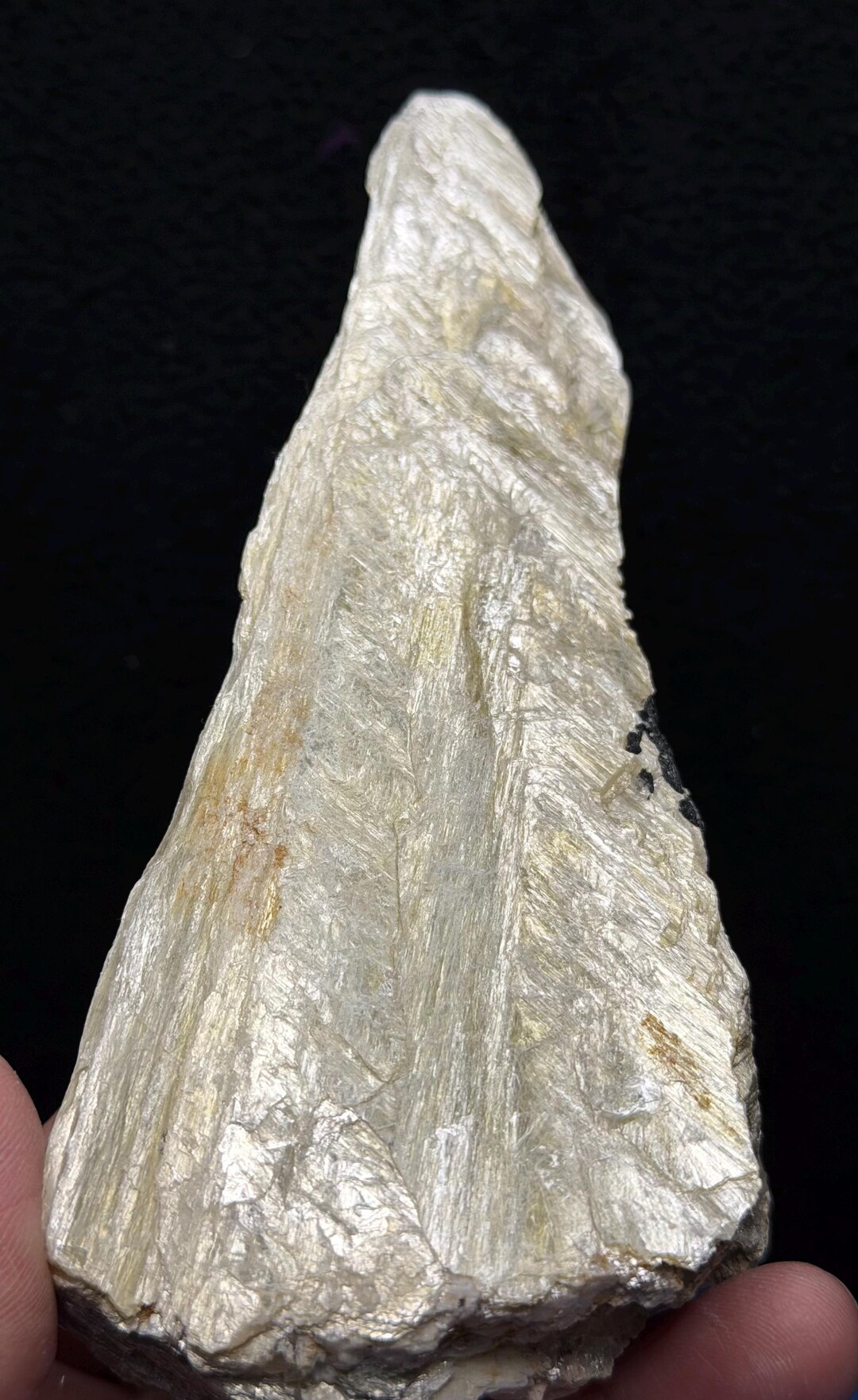 Brazilian Gold Star Mica Specimen With Display Stand - Etsy