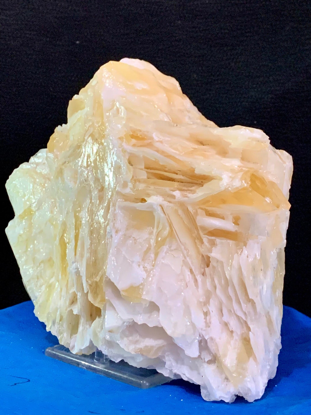 Large Top Quality Bladed Angel Wing Calcite Freeform From Mexico With ...