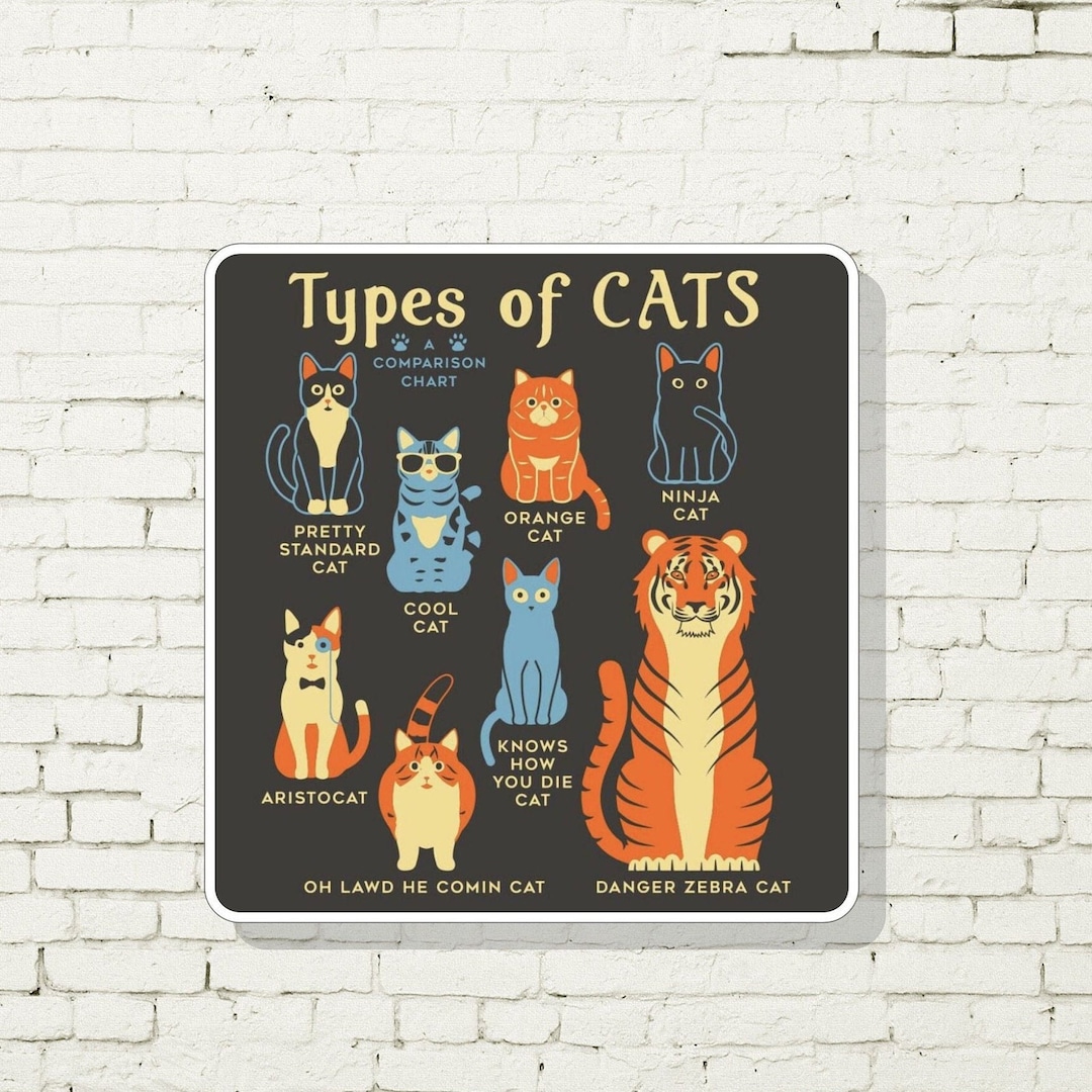 Sticker: Types of Cats, A Comparison Chart, Pretty Standard Cat, Cool ...
