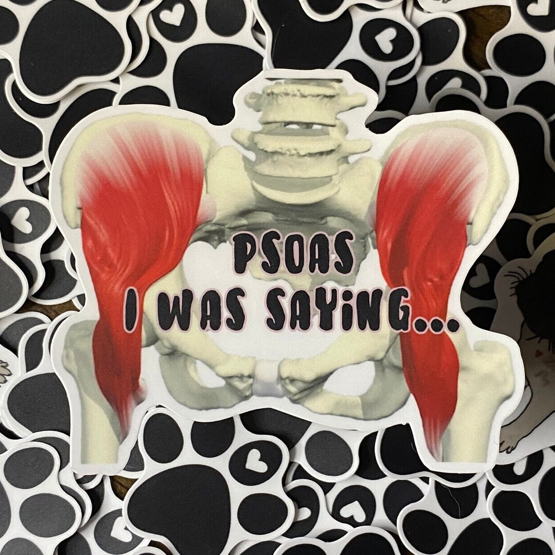 Funny Anatomy Hip Muscle Sticker | Physical Therapy Humor Vinyl Decal ...