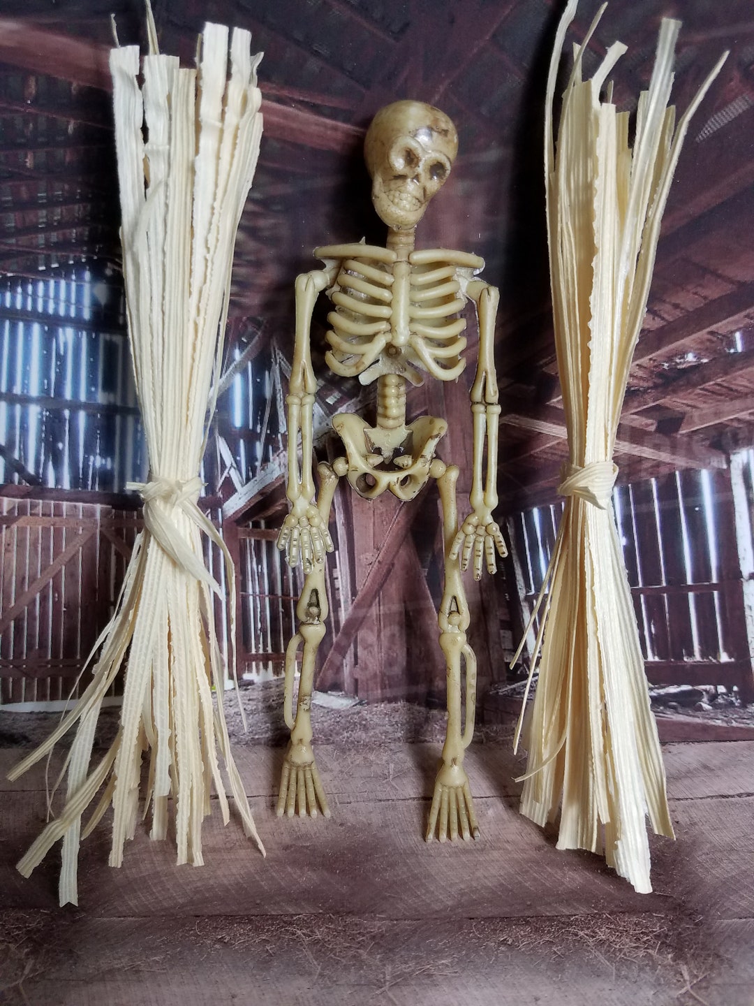 Miniature Dollhouse Halloween 6 Skeleton and 2 All Natural Real Mini ...