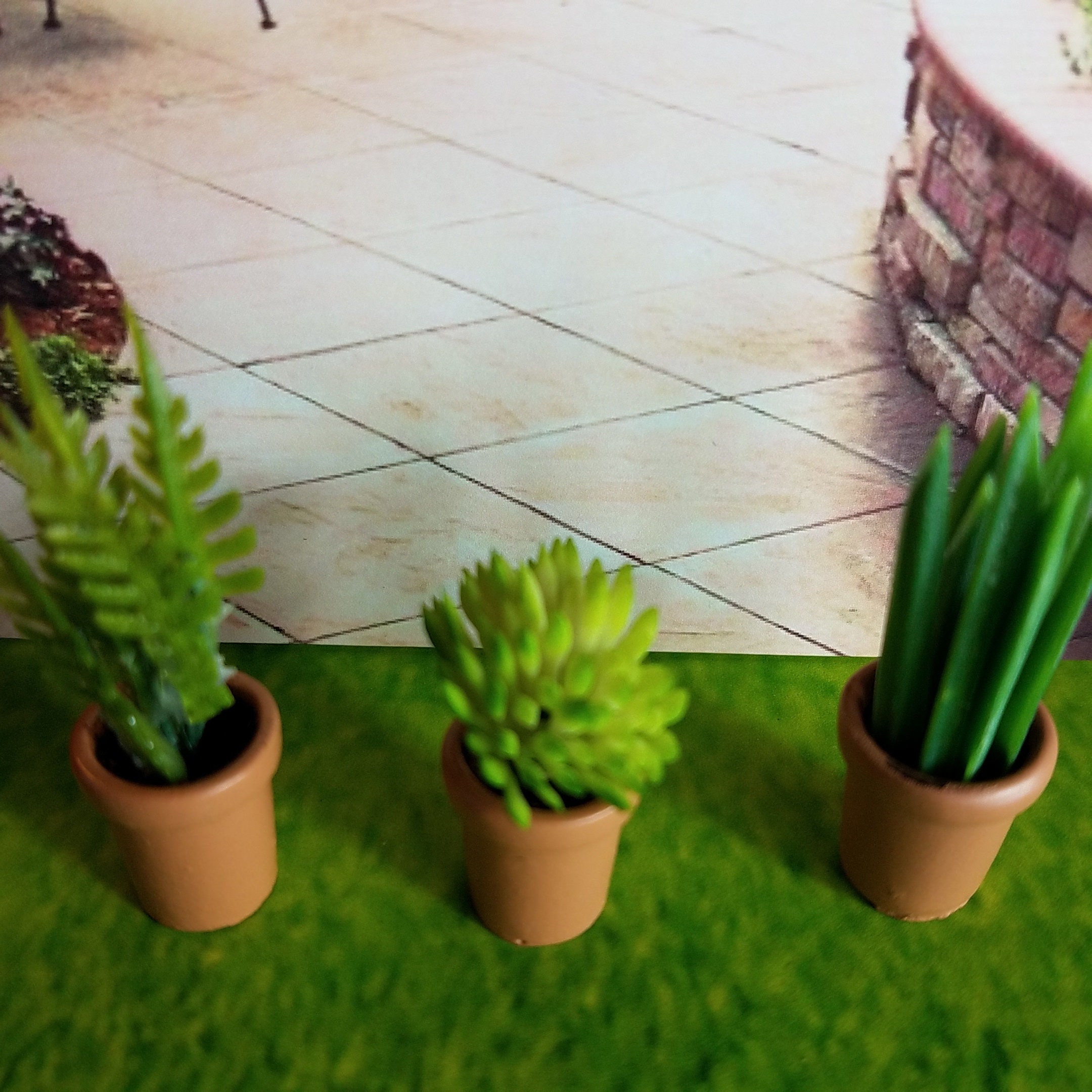 Miniature Set of 3 Tiny Potted Plants Ferns Snake Plant - Etsy