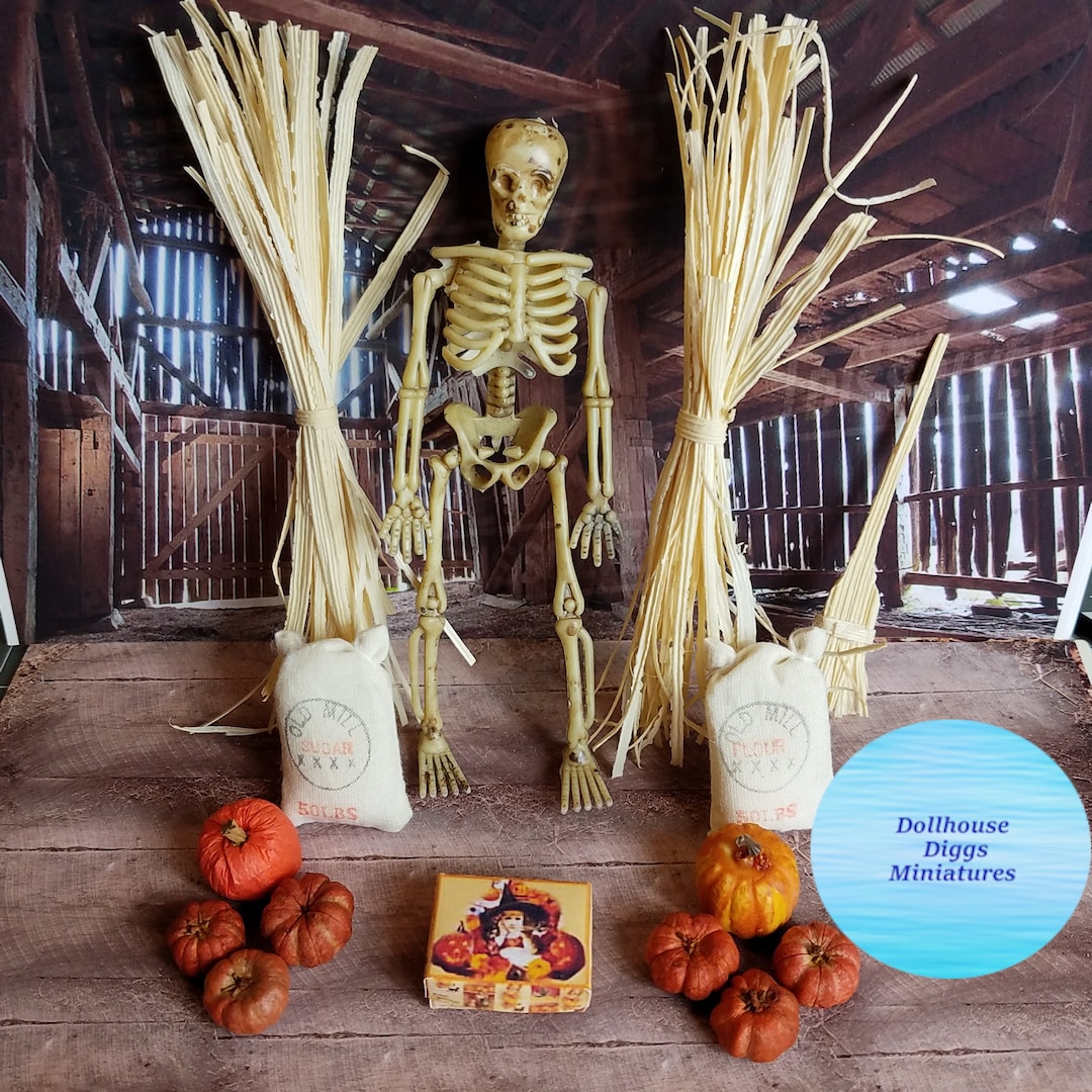 Miniature Fall Skeleton, Witch Box, Flour Sacks Broom Corn Stalks and ...